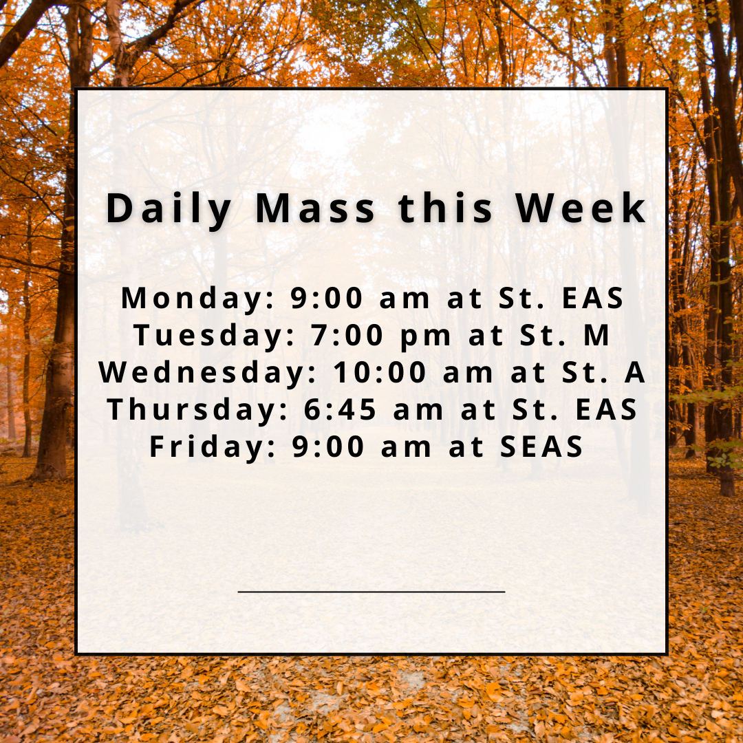 Daily Mass Schedule – Week of 9/30 | St. Elizabeth Ann Seton Church